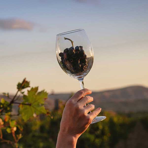 Quartz Rock Vineyard, Member Shawangunk Wine Trail